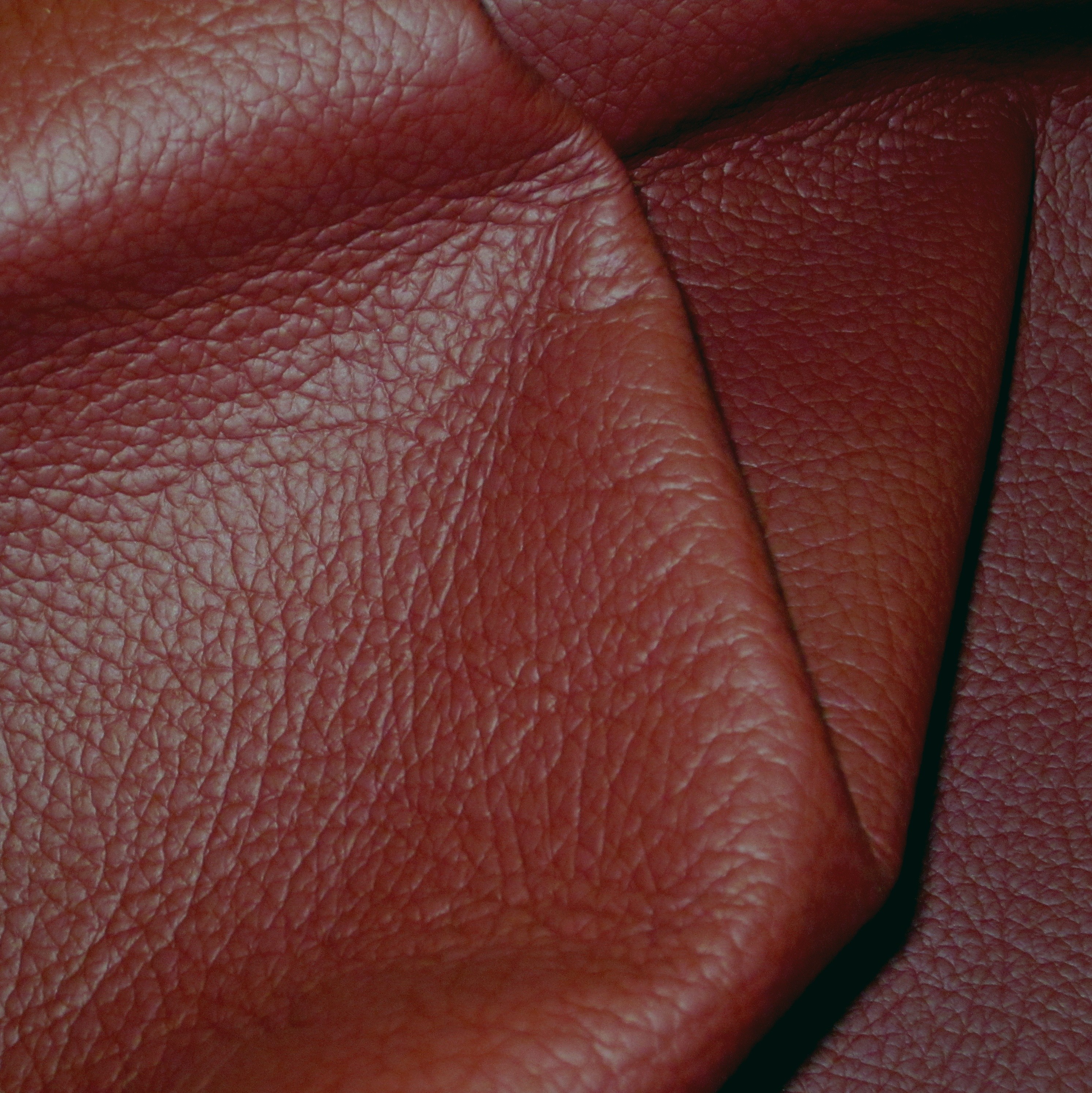 Cuir pleine fleur ou fleur corrigée